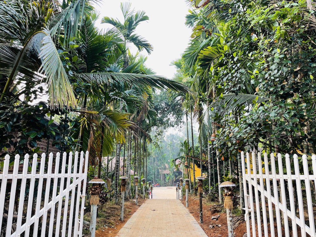 Sharavati Backwater Boat ride in Honnavar ! | One of the Best place to ...